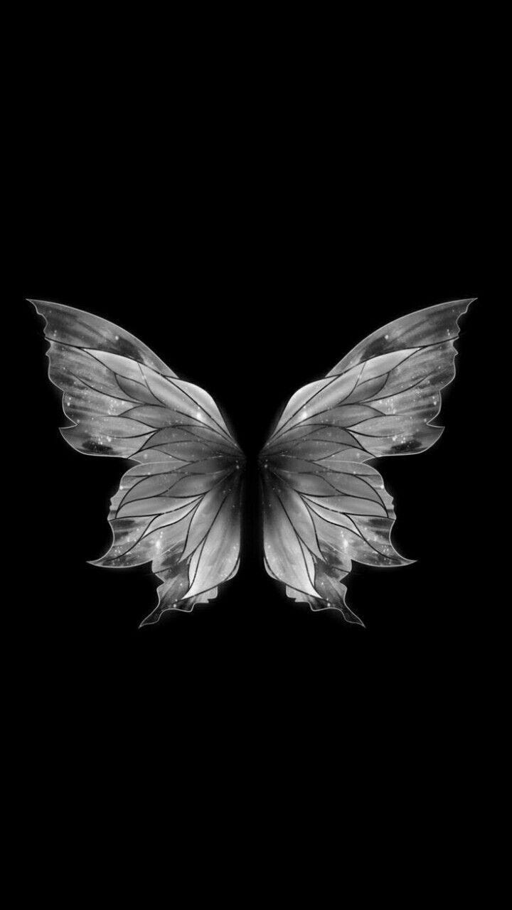 Only Zero or One Was Ever Seen — Until Infinity Rose in Between | by ...