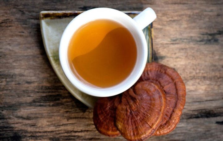 Turkey Tail Mushrooms Tea Recipe - FoodieJunk - Medium