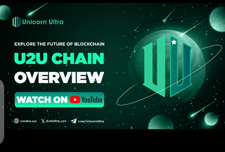 U2U Chain: Scaling with Style through DAG Algorithms. | by QueenEsther ...
