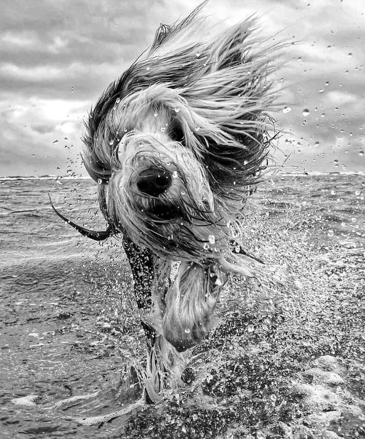 The history of beach photography is a fascinating | by Ikram Khan | Medium