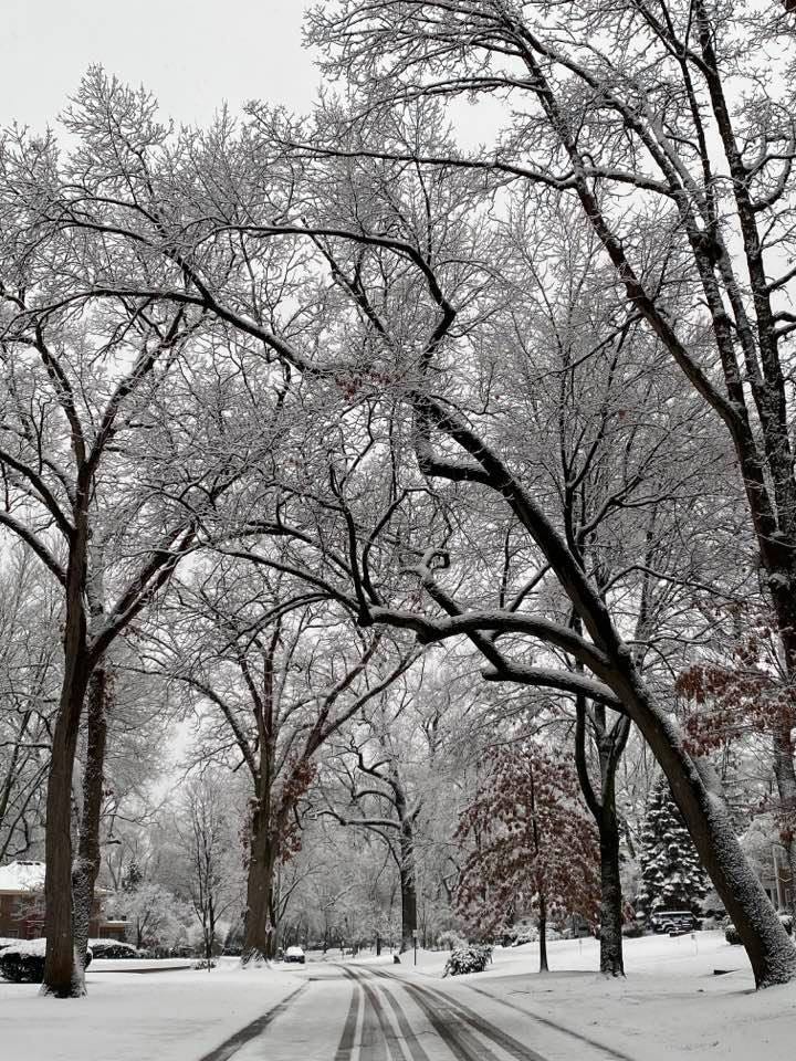 Walking the Seasons of COVID. By Andy Doctoroff | by Andy Doctoroff ...