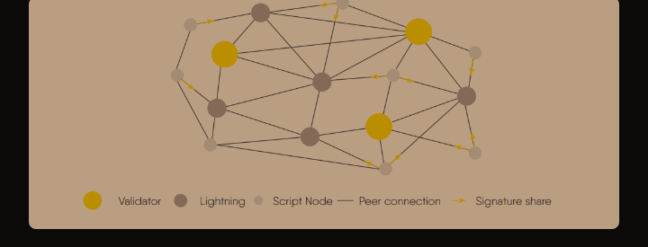 Nodes. About Script Nodes | by Babalolavictorolalekan | Medium