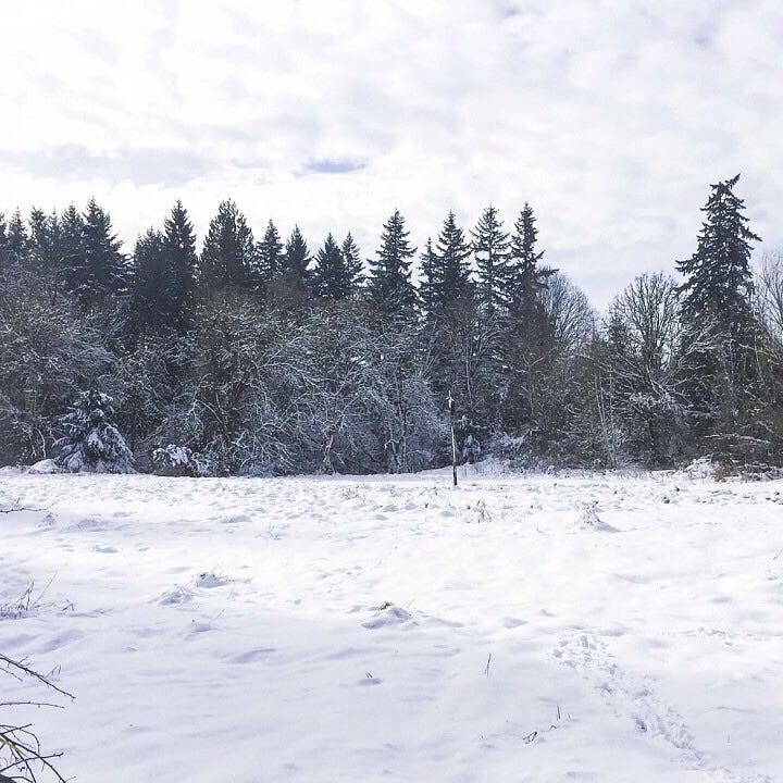 Sunday Bliss. Behind every busy and bustling week is… | by Kendra ...