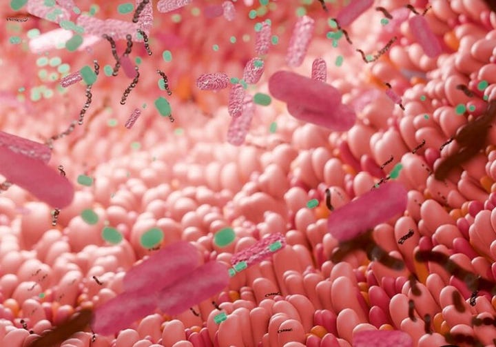 New Life Forms Found Inside Human Bodies: Amazing Insights into the ...