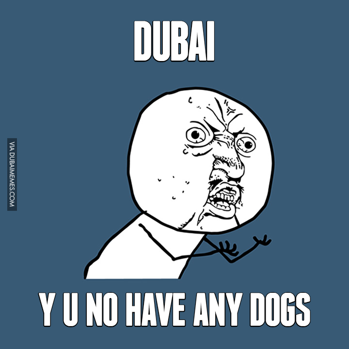 Dubai Y U NO Have Any Dogs | by DUBAI MEMES | Medium
