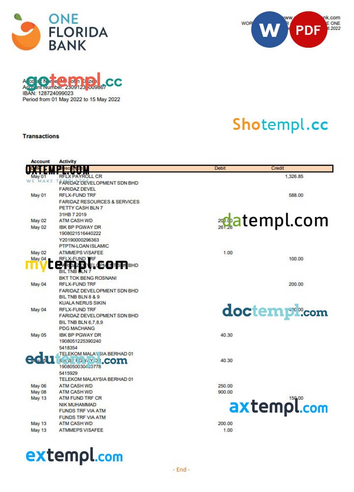 USA One Florida bank statement, Word and PDF template | by Doctempl ...