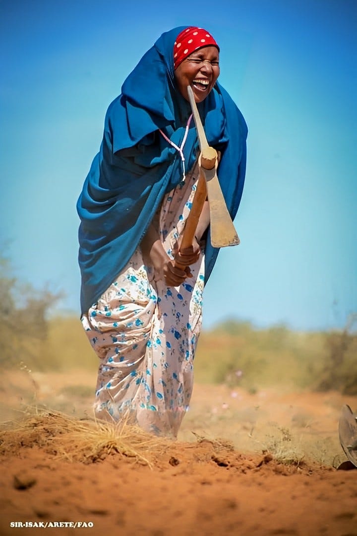 The Joy of Living a Simple Life: Finding Contentment in Minimalism | by ...