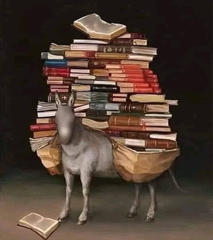 Beyond Intellect: The True Vision Lies in the Heart | by ᴍ ᴀ ʜ ᴇ ᴇ ʀ ...