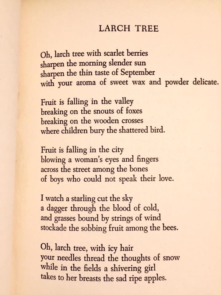 Poems About Falling For Him