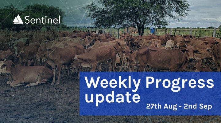 Water fall. Progress, Plans, Problems (PPP) is a… | by Xtra | Medium