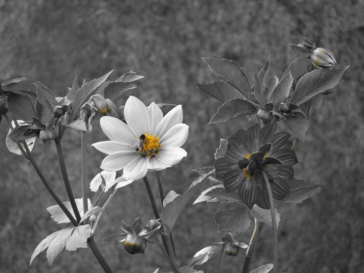 Healing Begin. You were my brother, you were my friend… | by The Quest ...