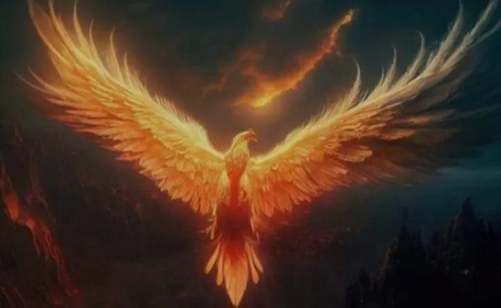 Like A Phoenix Rising. I had to go up in flames, fiery and… | by ...