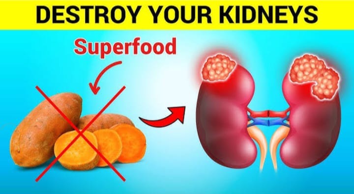Dangers of Junk Food and Outside Foods: How they Affect and Damage Your ...