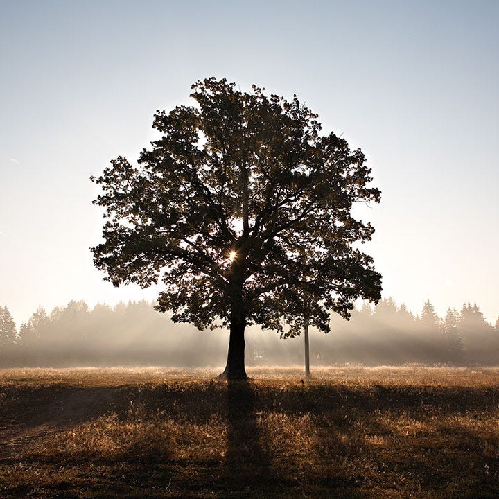 Our bodies mirror the acts of nature — change is the only constant ...