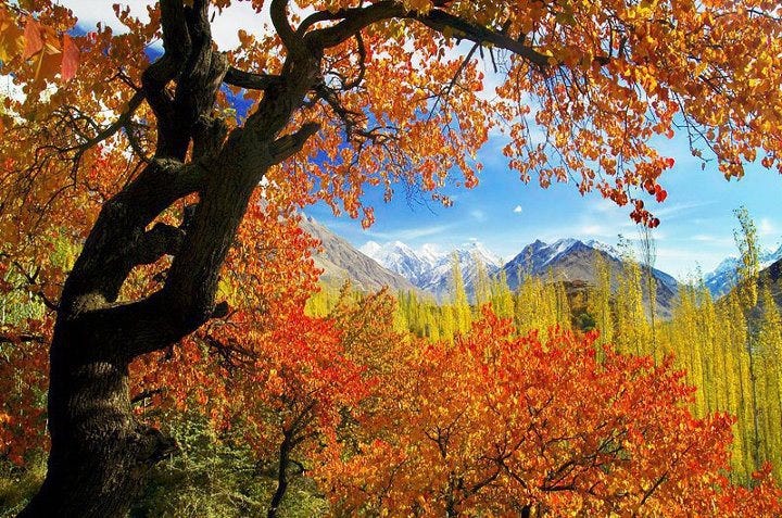 Hunza Autumn Tour. The Hunza Autumn Tour is a beautiful… | by ...