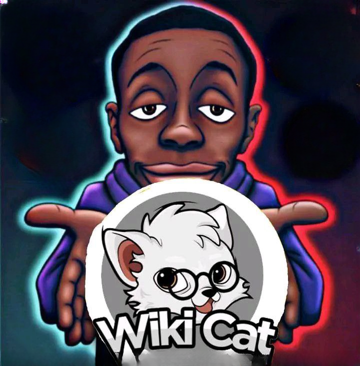 Introducing Wiki Cat: The Deflationary Coin with a Robust Community and ...