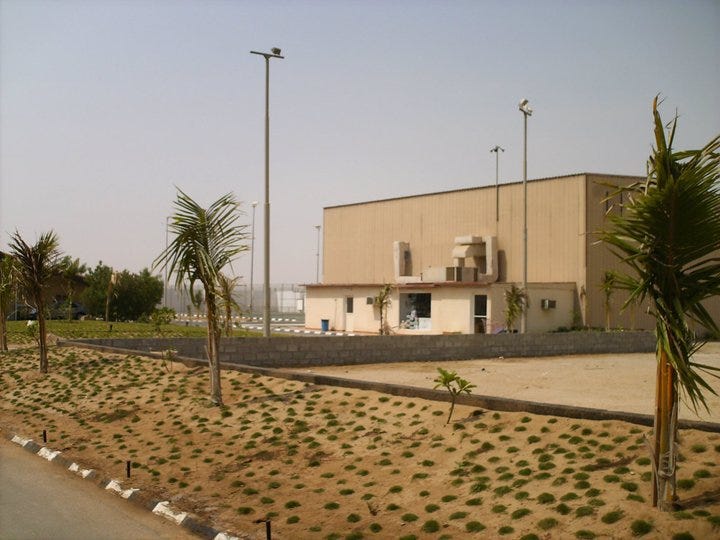 A Saudi Story. 120 Degrees, Feral Cats Fornicating… | by Ben Liebing ...