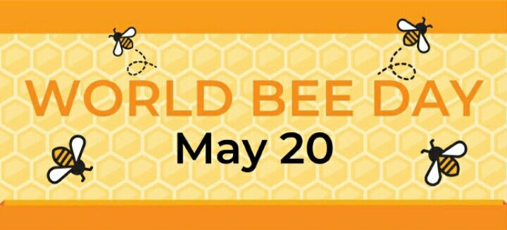 World Bee Day 20May. Safe Bee Safe life | by Noaman Rahim Khan | Medium