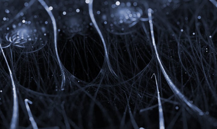 Cellular Reprogramming: Unleashing the Potential of Youthful Aging | by ...