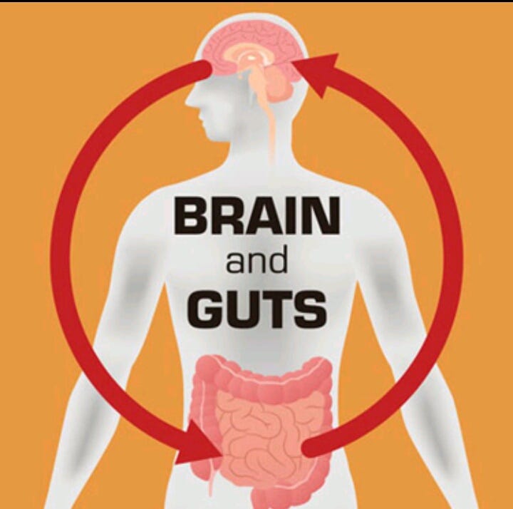 3 Surprisingly interesting facts about Gut bacteria | by Sharmin Quazi ...