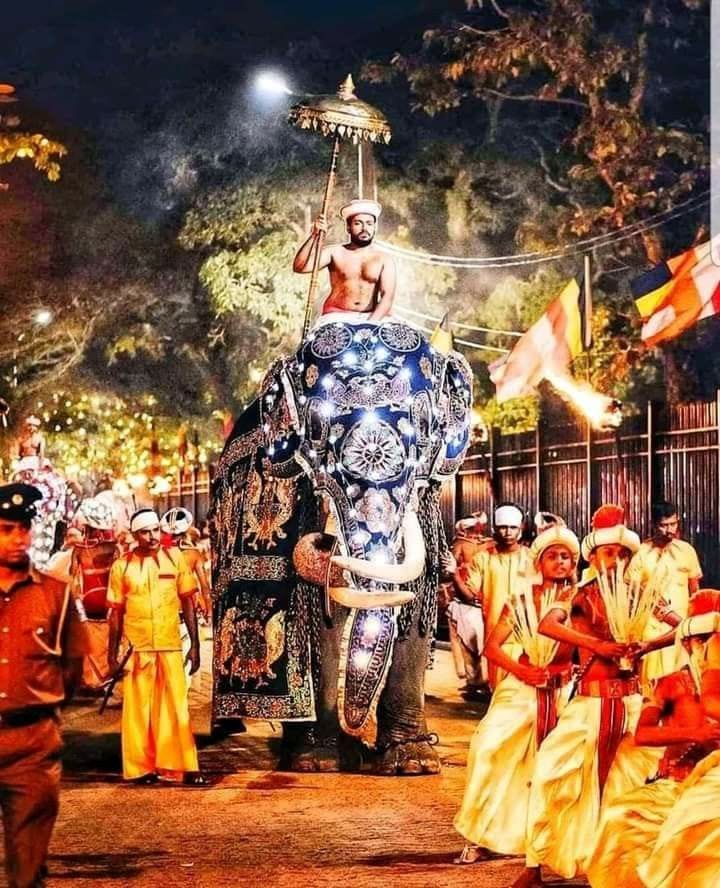 Perahera in Sri Lanka: A Tapestry of Tradition and Spirituality | by ...