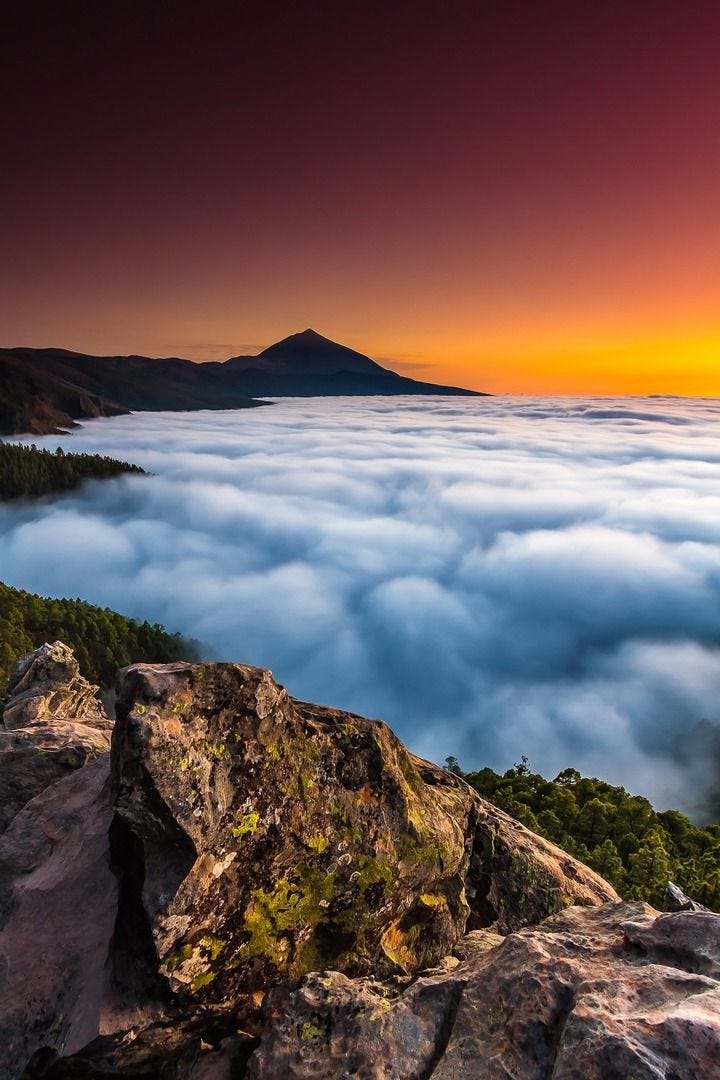 Leviathan Chapter 8: Sacred Secrets | by Paul Bounford | Medium