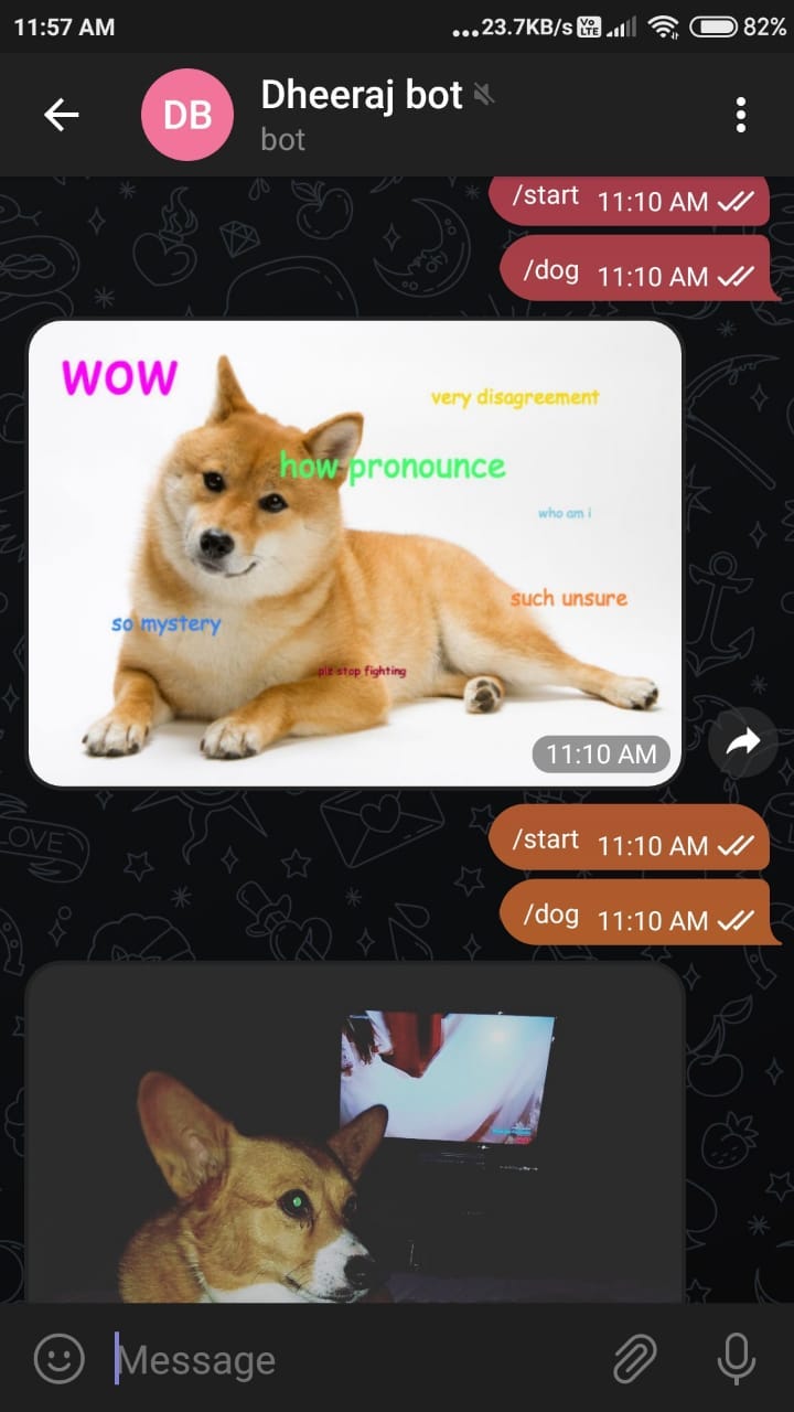 Telegram bot which shows a random pic of | by Dheeraj | Medium