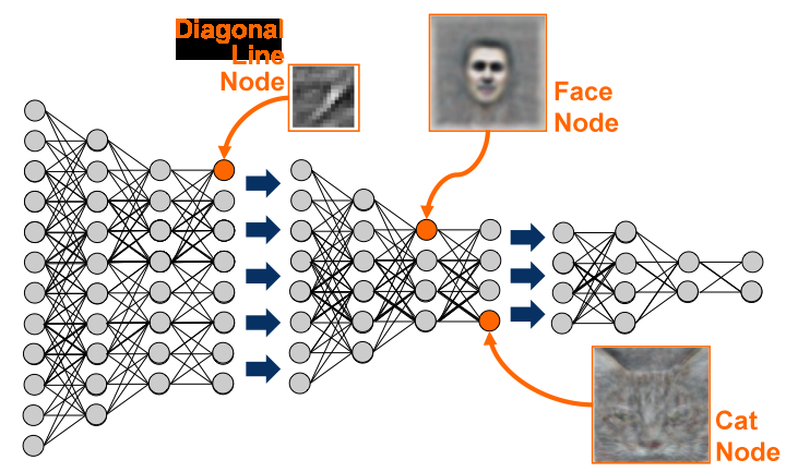 How Deep Learning Models Learn?. The Learning Process and Beyond! | by ...