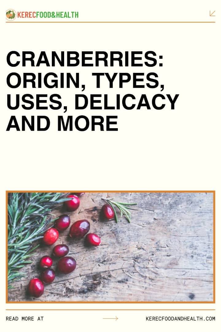 Cranberries: Origin, Types, Uses, and Delicacy | by Kerec Food and ...