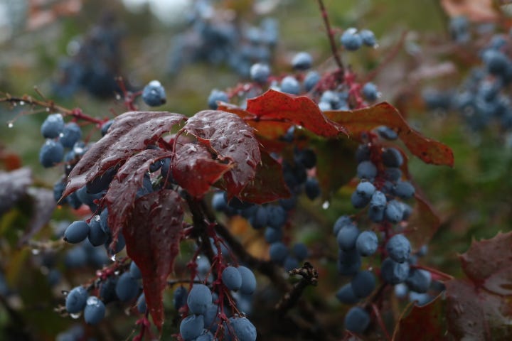Defining Composition. First we’ll e using two horizontal… | by Thomas ...