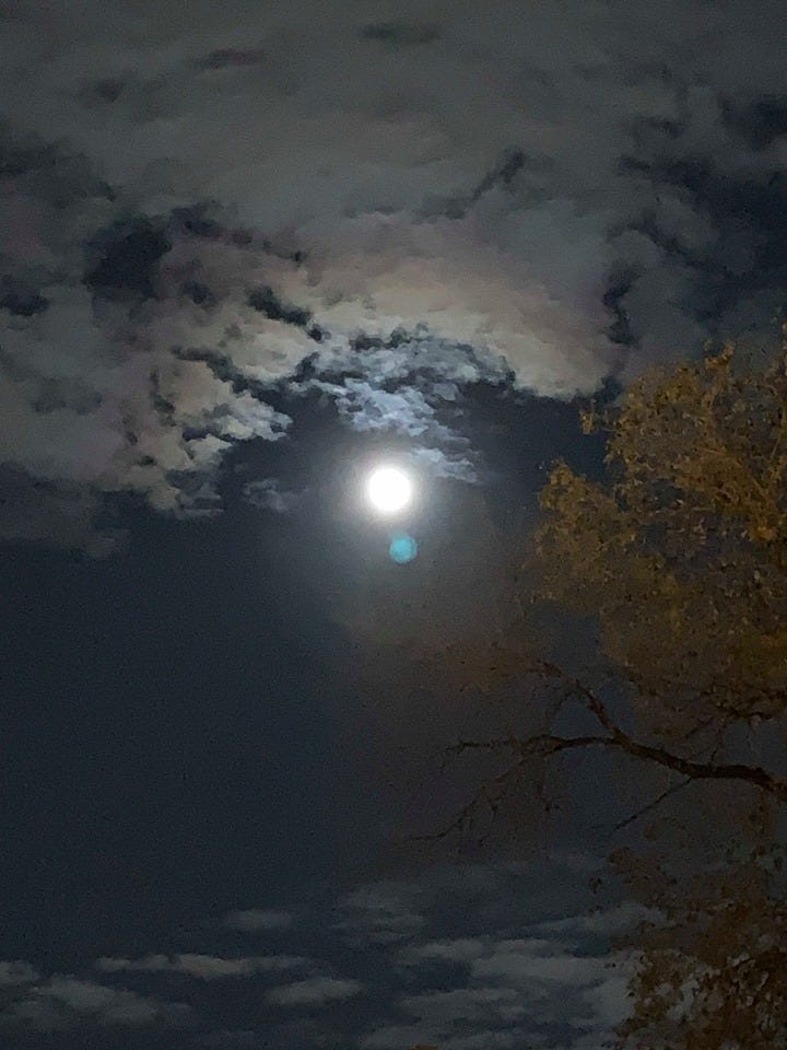 Most Truly | by eric mccarty | Medium