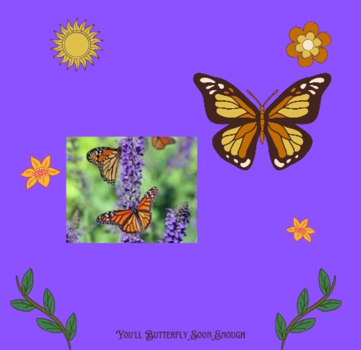 You’ll Butterfly Soon Enough. You’ll butterfly soon enough, and… | by ...