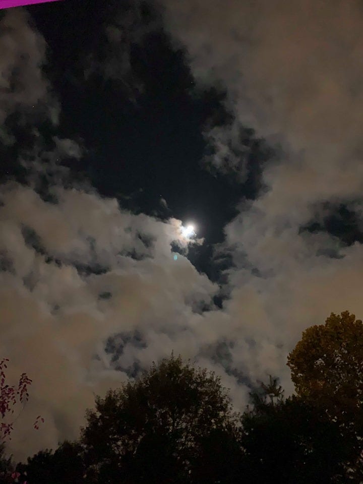 Of True Connection. Of true connection: | by eric mccarty | Medium