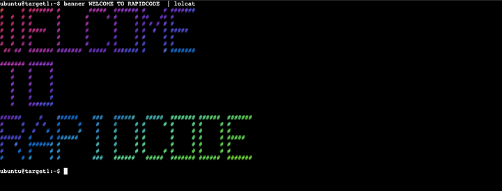 Linux Commands To Spice Up Your Terminal Experience By Rapidcode