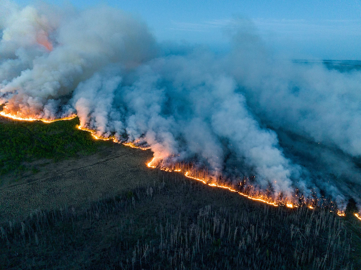 How to prevent human-caused wildfires | by Chronicles of the Urban ...