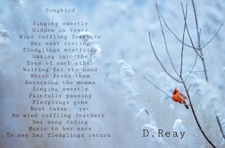 Songbird - Debra Reay - Medium