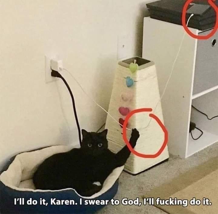 Beyond the Karen: Misogyny, Class, and the Meme That Silences Women ...