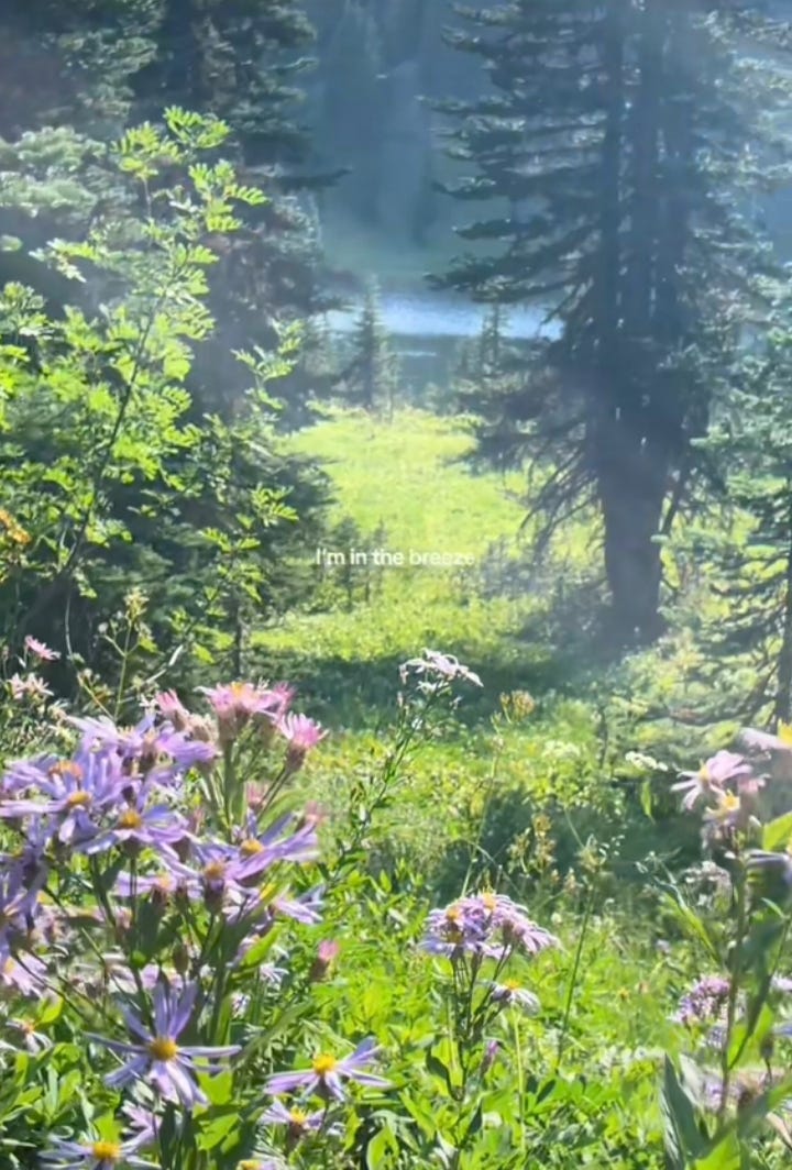 “Lami nga Kalibutan” Lamig sang hangin, Nindot nga kalibutan, Lami tan-awon. Humot nga bulak ...