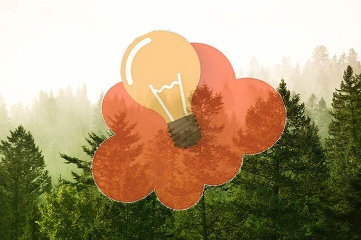 The Elusive Evergreen Business Idea | by Jeff Yablon | Business Change ...