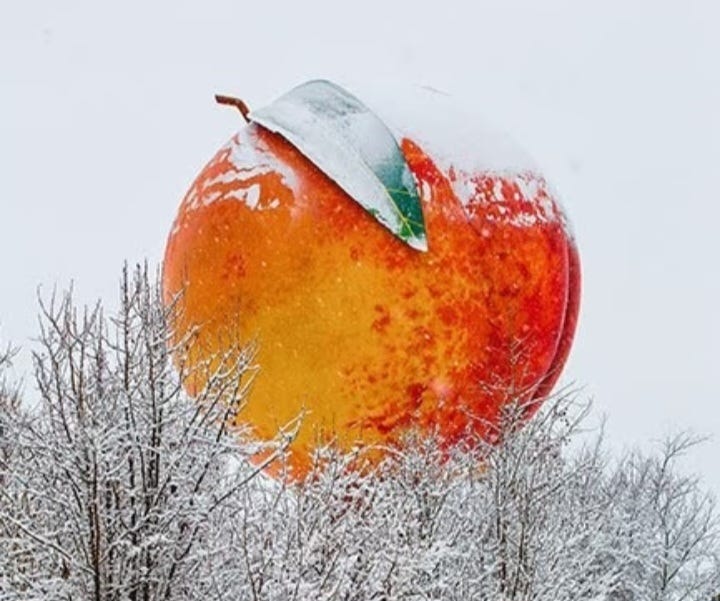 Here are some interesting facts about Gaffney's Big Peach, The Peachoid ...