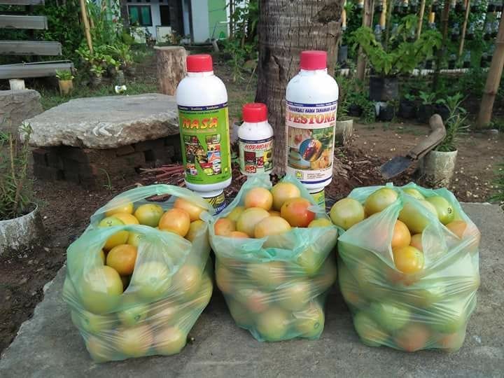 Pusat Nasa Di Makassar WA/Hp : 0813.5509.6900, Stockist Nasa Di Makasar ...