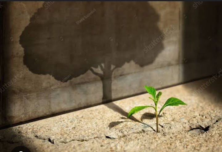 We Are Life In The Image Of Life. - Mindful Blogs - Medium