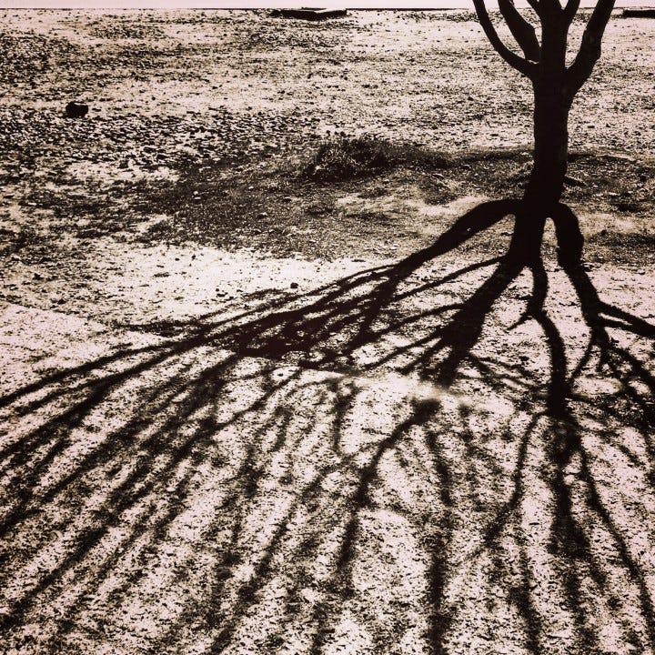 Í A D S A. As luzes piscam e se acendem. Não… | by Daniel Rybak | Medium