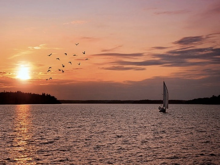 Take a Look -There’s Life Passing You By! | by Sailor Meditator | Medium