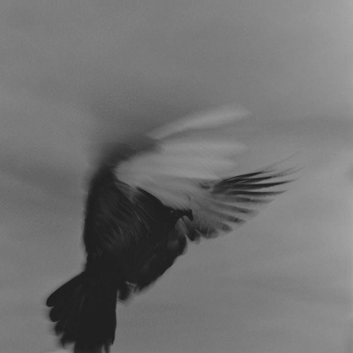 When Shadows Fall | by Eesha Aftab | Medium