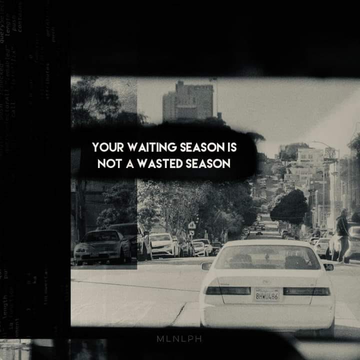 waiting season, not a wasted season | by schread | Aug, 2024 | Medium