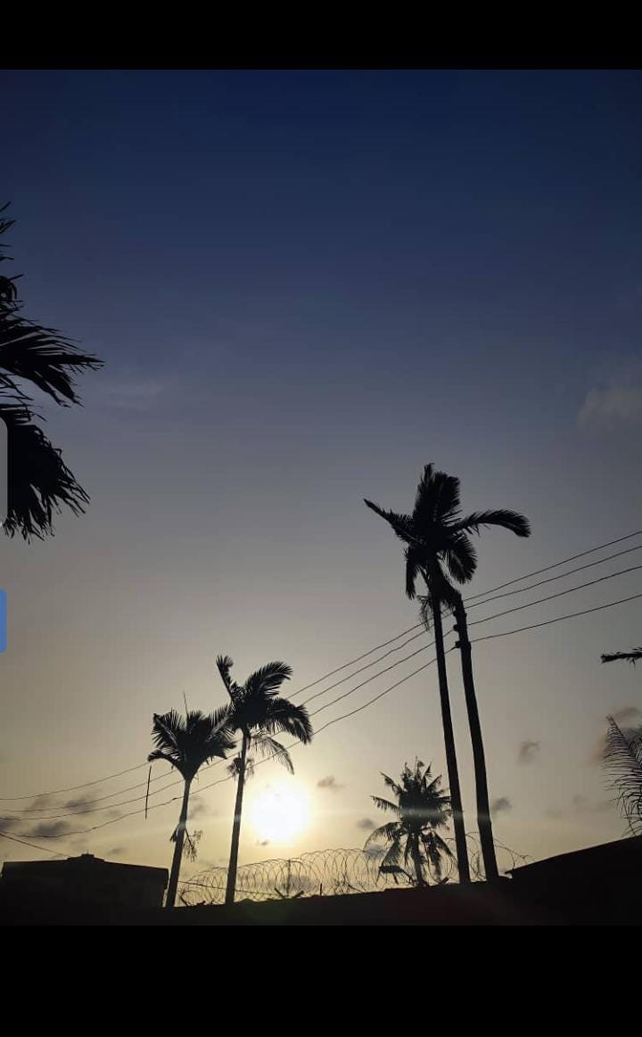 NOTES FROM THE EDGE OF THOUGHTS; writing, healing and the algorithm ...