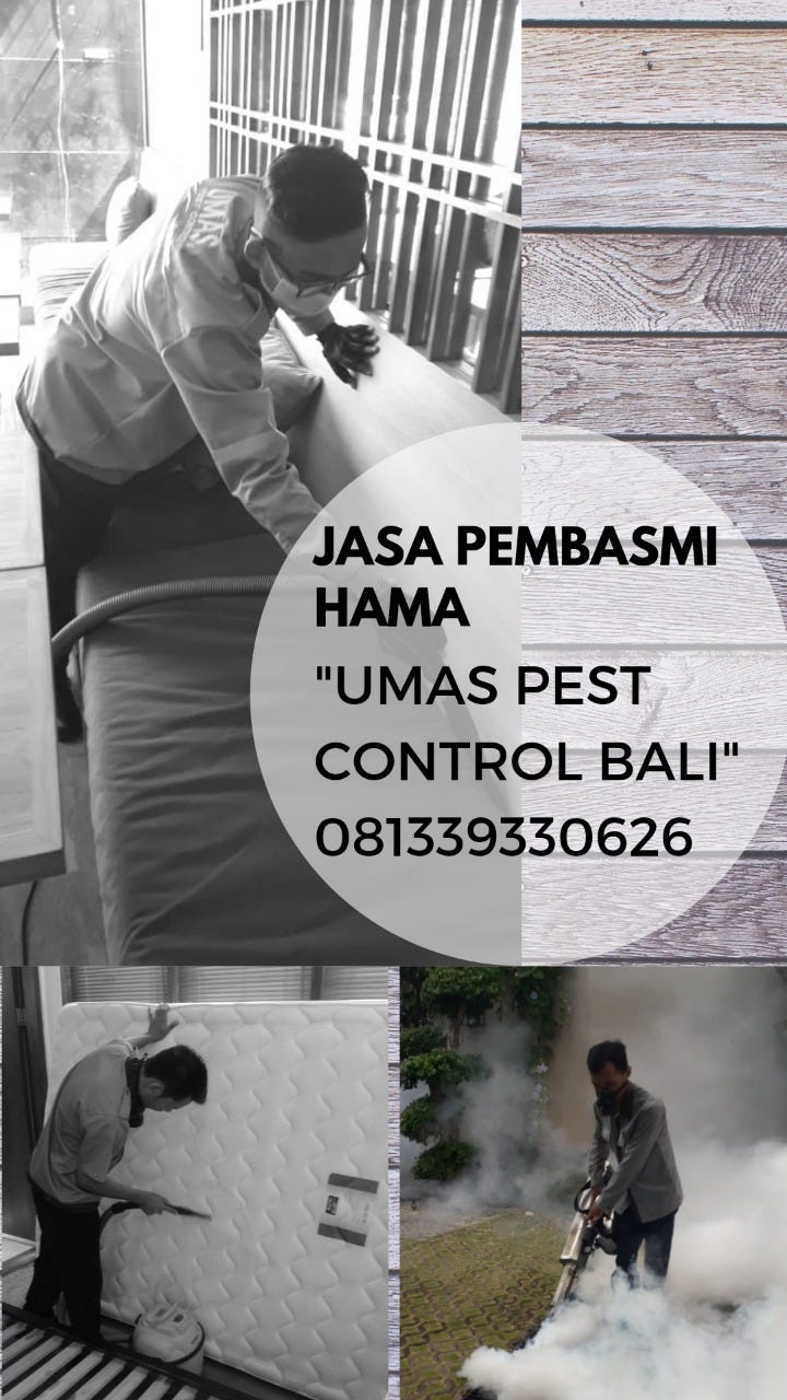 jasa 081339330626 Pest Control In Bali | by Elony Efrata | Medium