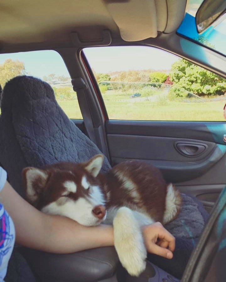 Disassociated. My eyes open, the light pierces through… | by Kate | Medium