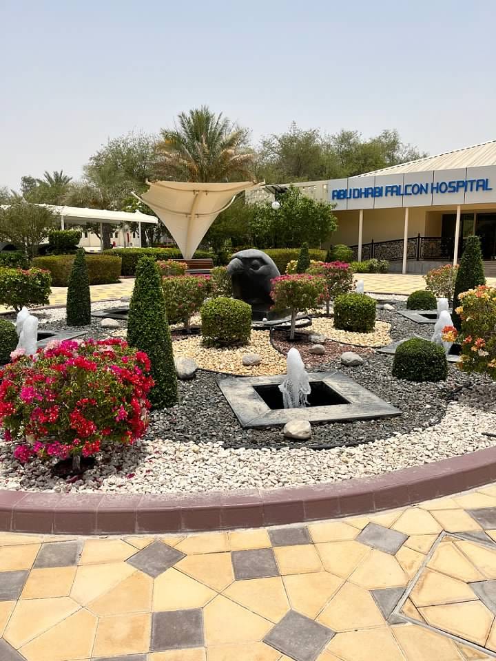 Part II — Trip To United Arab Emirates — The Falcon - Traditional Sport ...